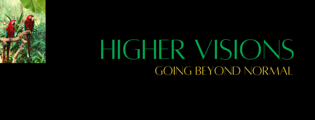 Higher Vision | Joi Works